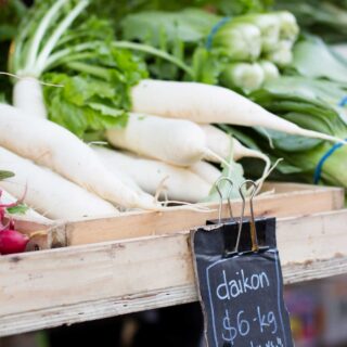The Ultimate Guide to Daikon (大根) - Chopstick Chronicles