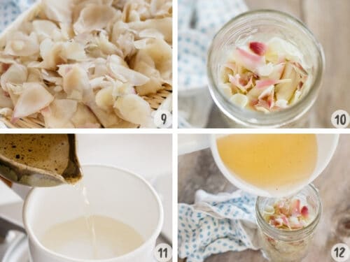 Gari ガリ (Japanese Pickled Ginger Recipe) - Chopstick Chronicles