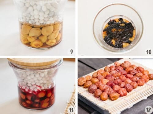 Homemade Umeboshi Recipe (Pickled Plum) - Chopstick Chronicles
